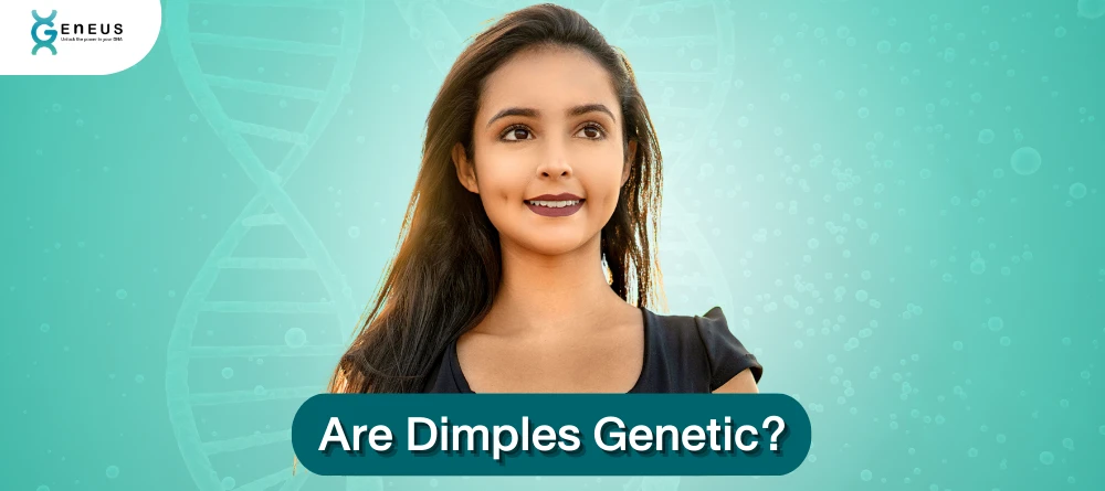 Are Dimples Genetic? Understanding the Link Between Dimples and ...